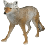 The Best Predator Decoys 2025: Proven Ways to Lure in Your Target