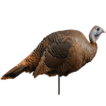 8 Best Turkey Decoys 2025: A Hunter's Guide to Success