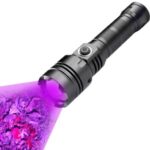 The Best Blood Tracking Light 2025: Master the Hunt