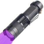 The Best Blood Tracking Light 2025: Master the Hunt